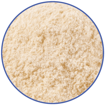 Hemoblast | Hemoblast Bellows | Hemoblast Powder